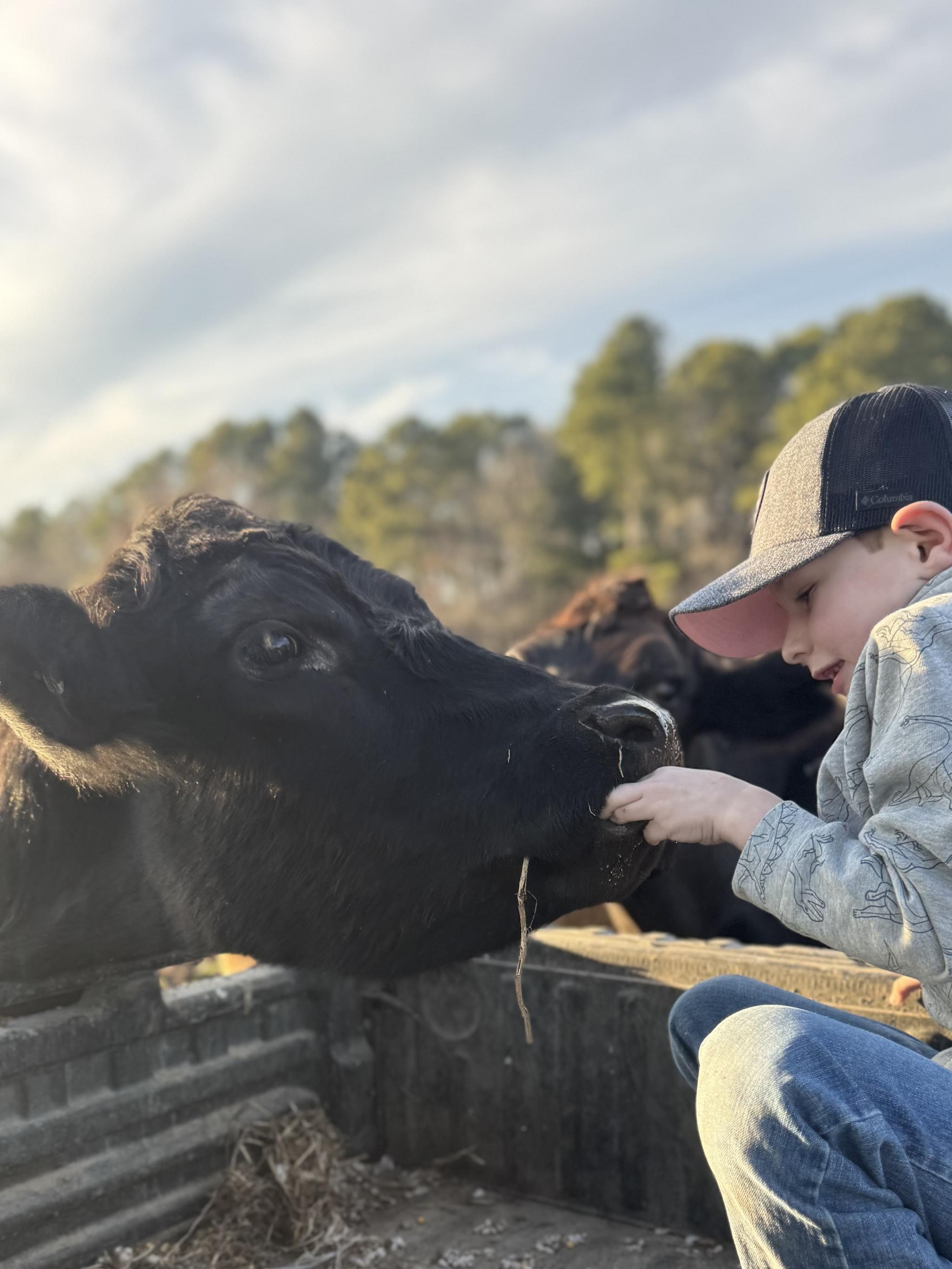 About Us – High Steaks Cattle