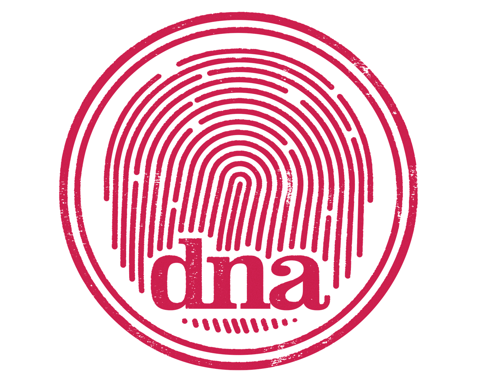 Discmania Mystery Box - Mystery Bistro – Discmania Store