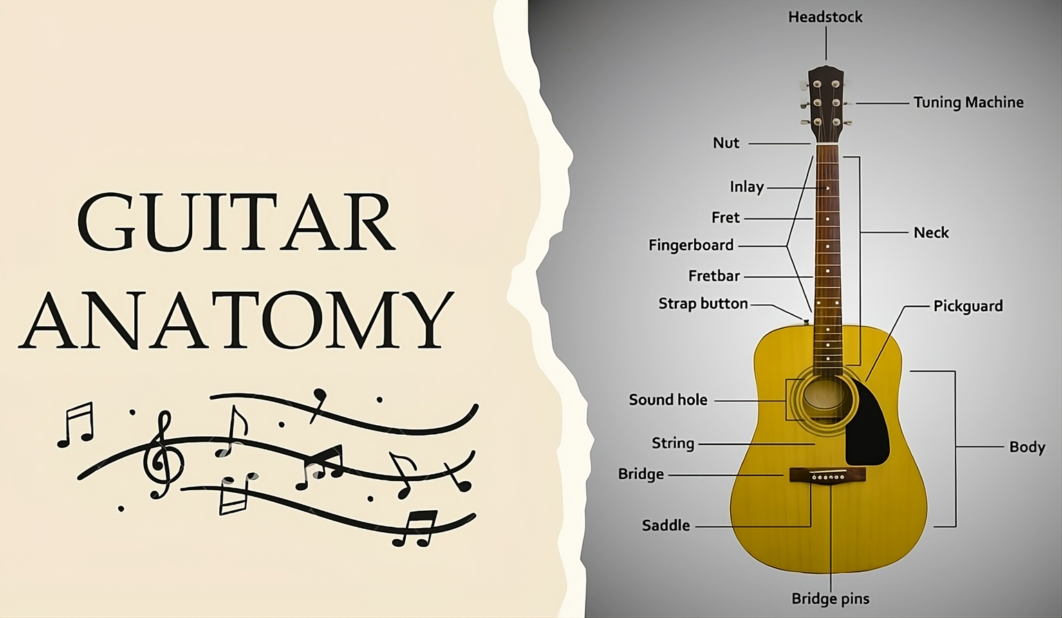 Guitar Anatomy: Parts of a Guitar Explained – BAJAAO.COM