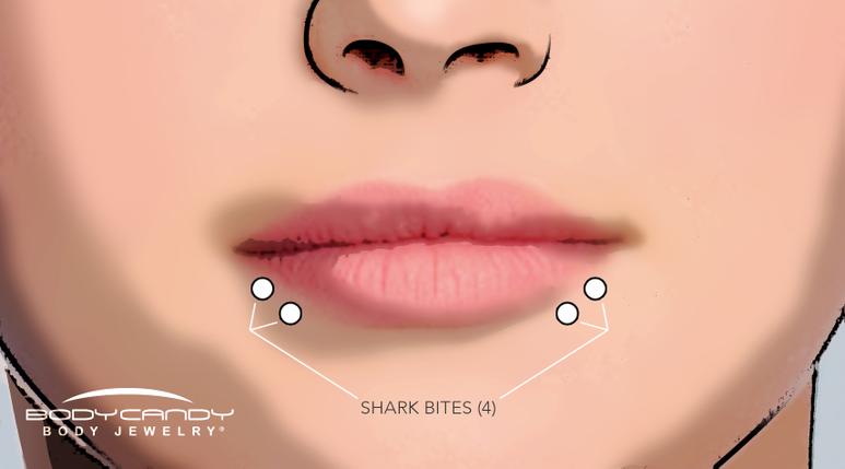 The Piercing Dictionary: Facial & Lip Piercings – BodyCandy