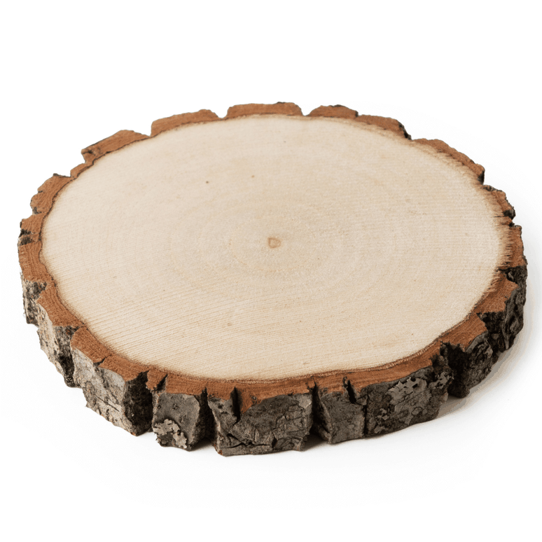 Premium Wood Slices 10 pack - Scorch Marker