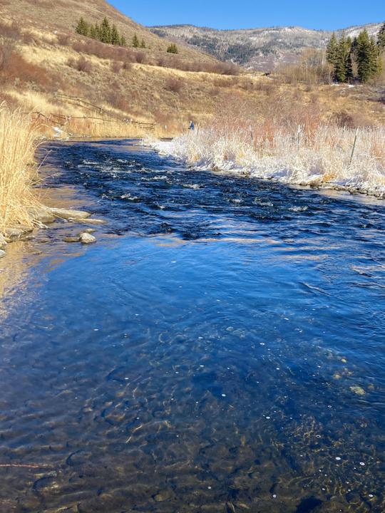 Reading the River – Togens Fly Shop