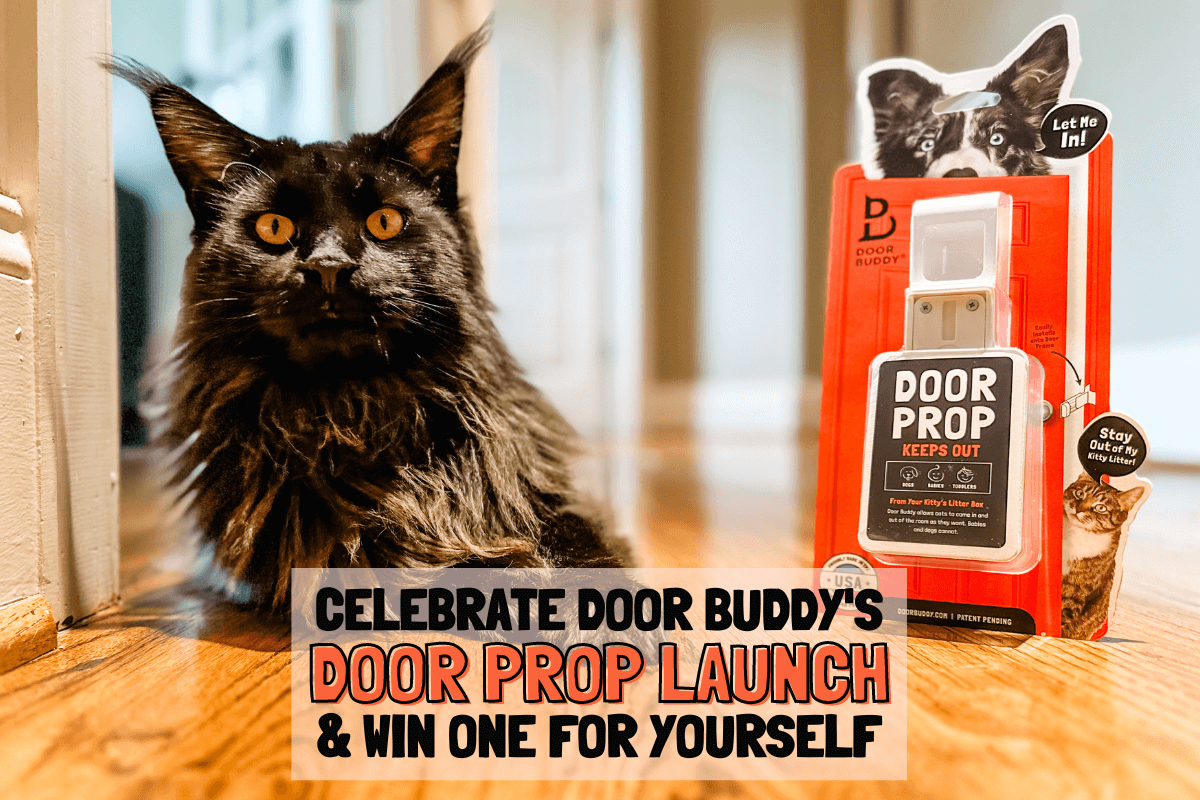Win a Door Prop Each Week | Door Buddy Door Prop Launch