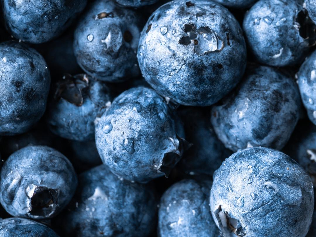 Organic Freeze-Dried Blueberry Powder - Superfood Antioxidant Boost ...