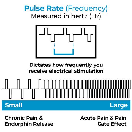 How to Use a Muscle Stimulator for Recovery & Pain Relief – TENS 7000