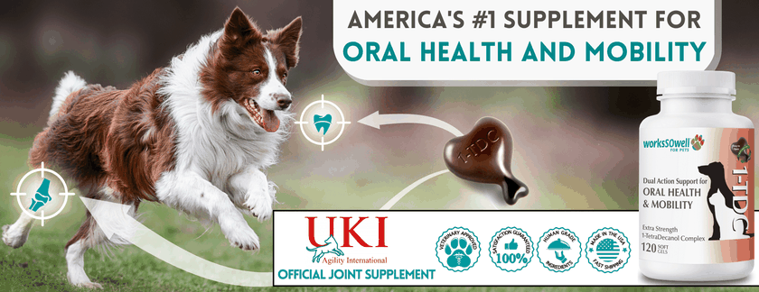 1-TDC Official Joint Supplement of UKI