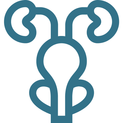 Prostate Flow – Natures Pure Blend