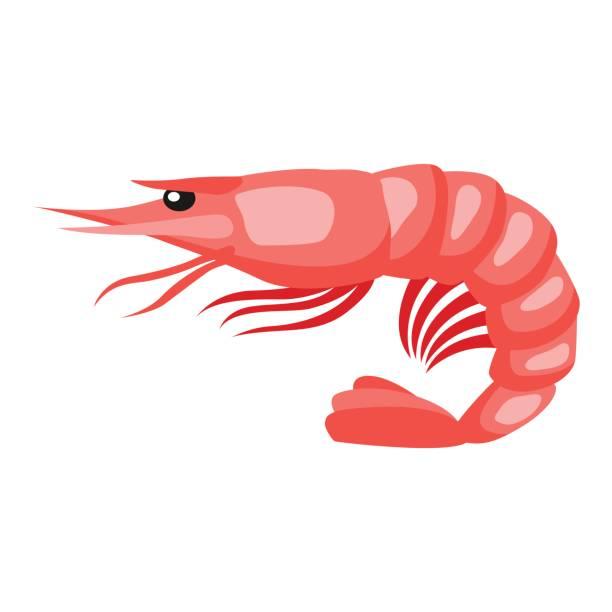 Krill Oil
