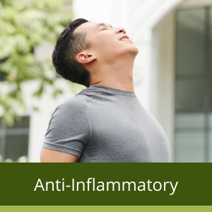 Immune Booster Supplement | All Natural Immune Support | Go Nutrients