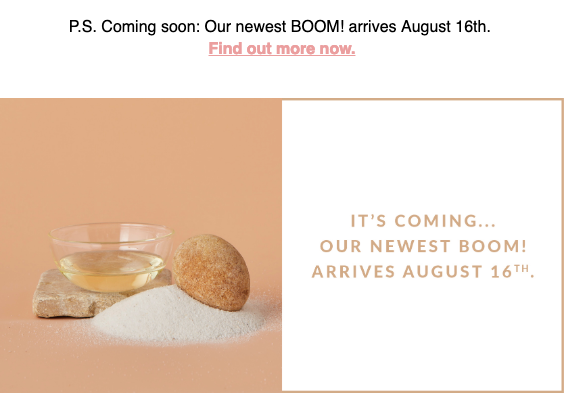 How to Sell Out Your Next Ecommerce Product Launch: Copy this Template