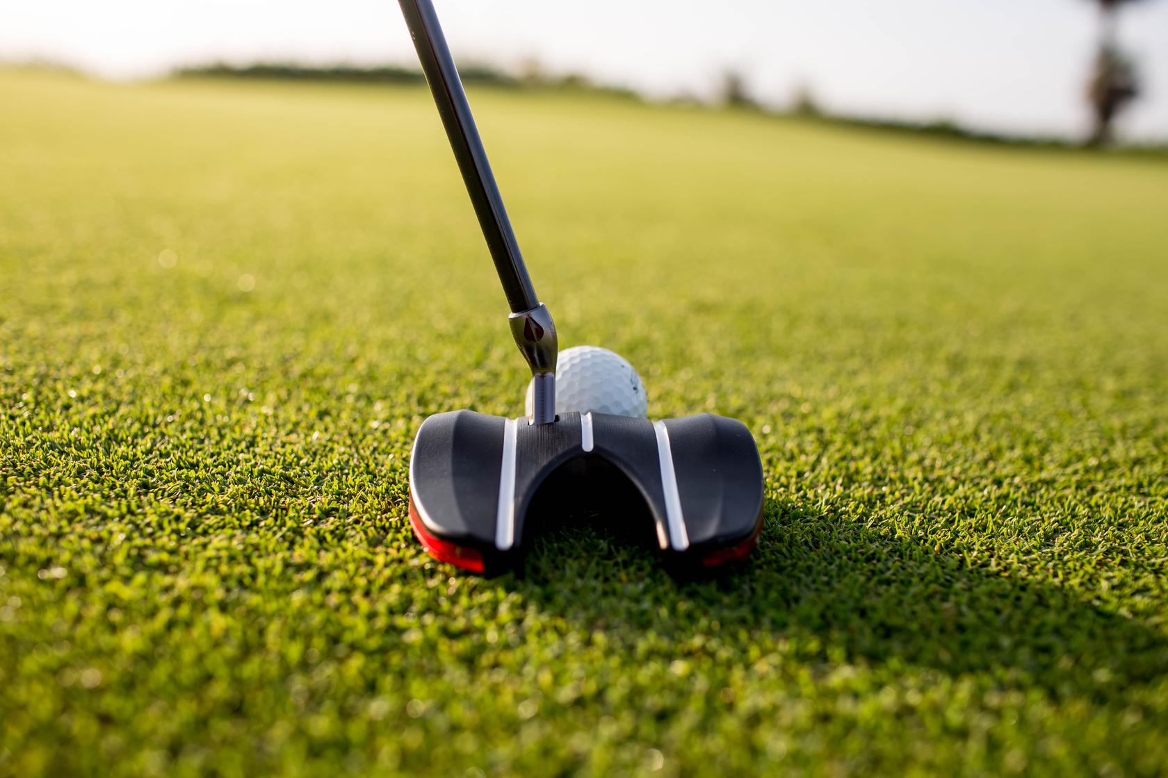 Vale Putter - New LP