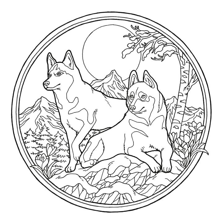 Snow Dog Coloring Coloring Pages