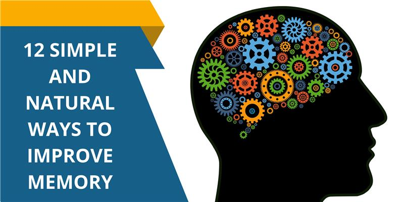 12 Simple and Natural Ways to Improve Memory – beehive2u
