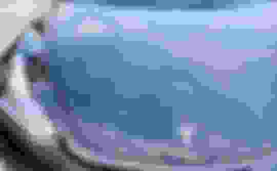 MAXL Method Complete System (NEWLY UPDATED!) - MAXL®