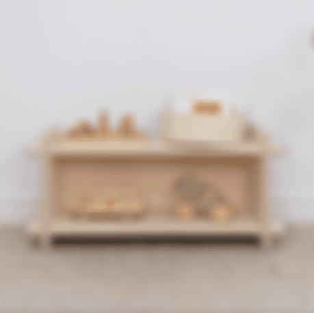 Premium Montessori Shelves: Organized Learning Made Easy | The ...