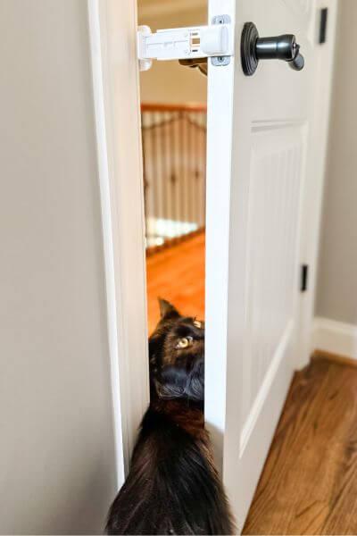 Door Buddy® Cat Door Prop - Cat Door Holder Latch to Keep Door Open