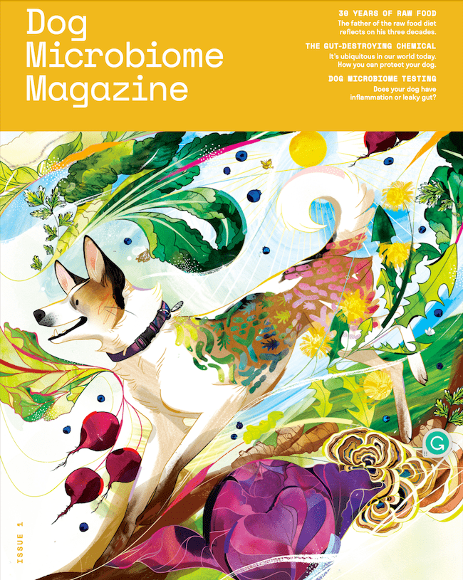 Dog Microbiome Magazine - Get Your Complimentary Copy Today