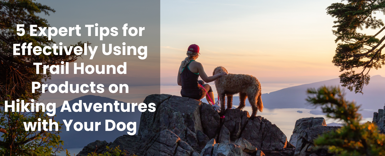 5 Expert Tips for Effectively Using Trail Hound Products on Hiking Adv ...