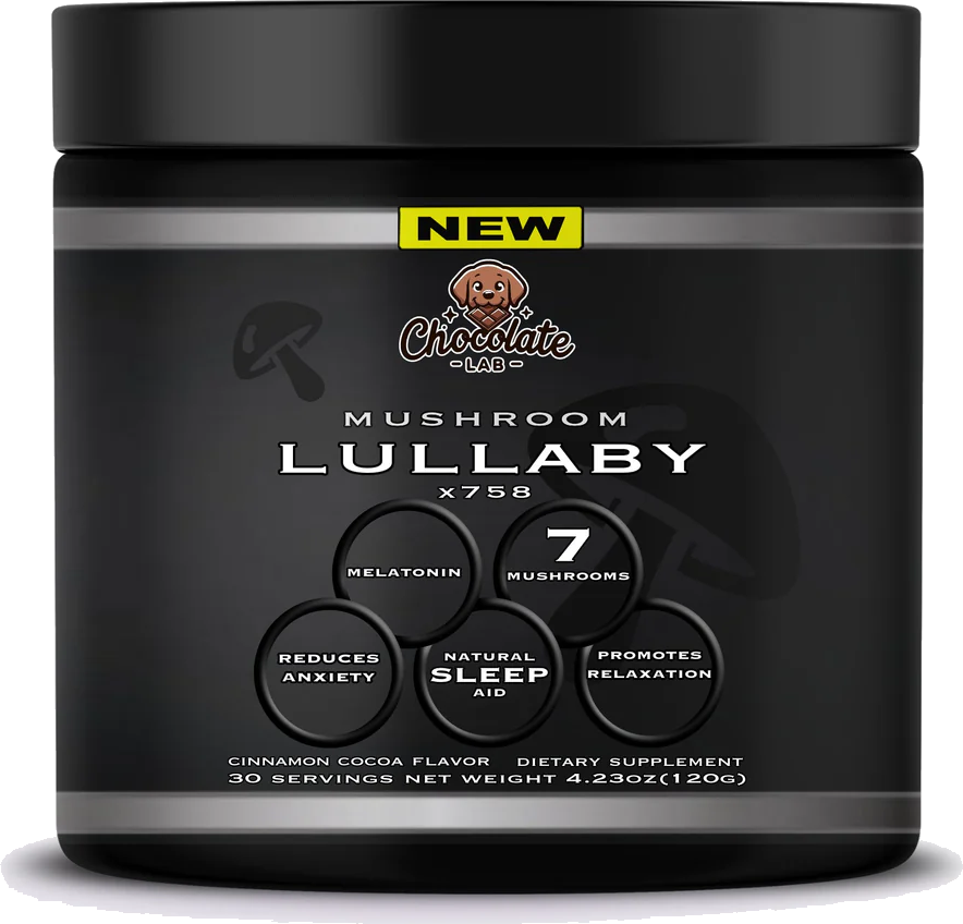 Best Sleep Supplement