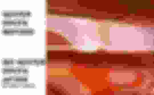 MAXL Method Complete System - MAXL®