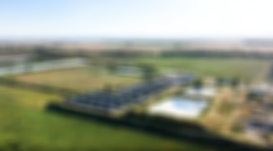 How is Caviar Harvested? Unraveling the Sea's Exquisite Treasure ...