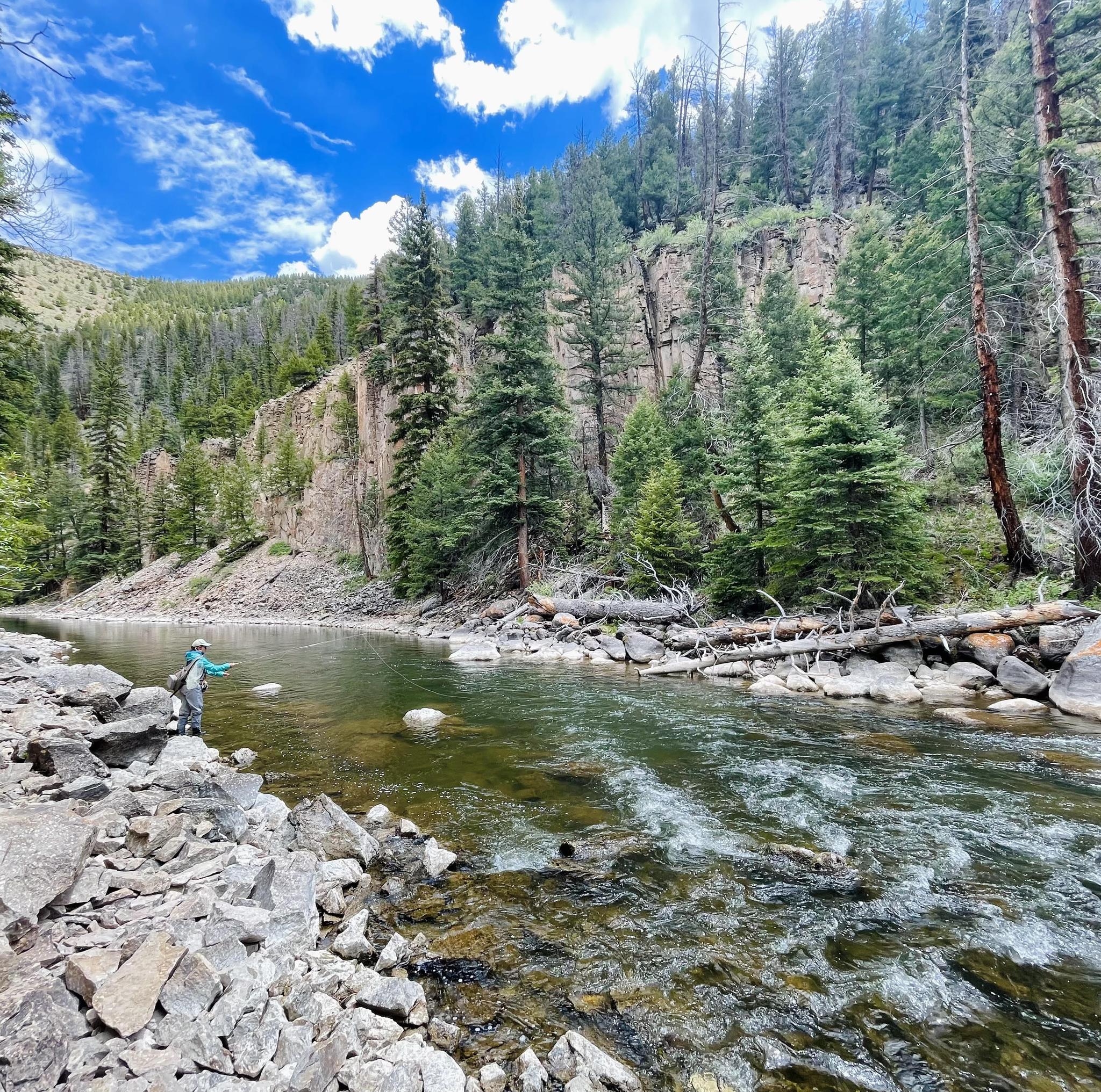 Freestone & Tailwater & Spring Creeks – Togens Fly Shop