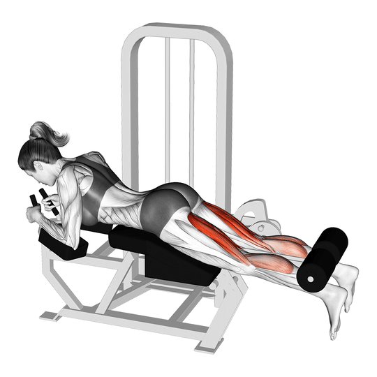 The Best Leg Machines for Lower Body Day – Astroflav