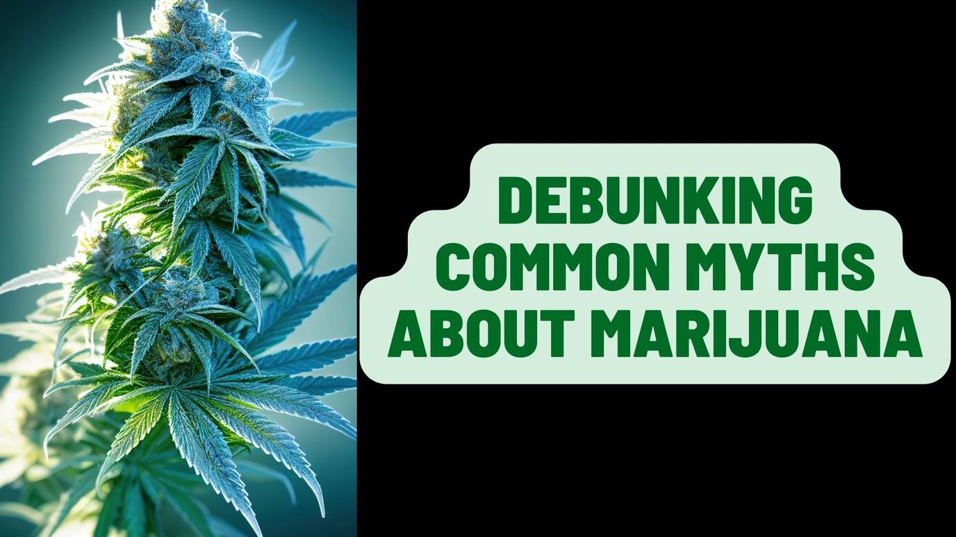 Debunking Common Myths About Marijuana | Weedgets Blog