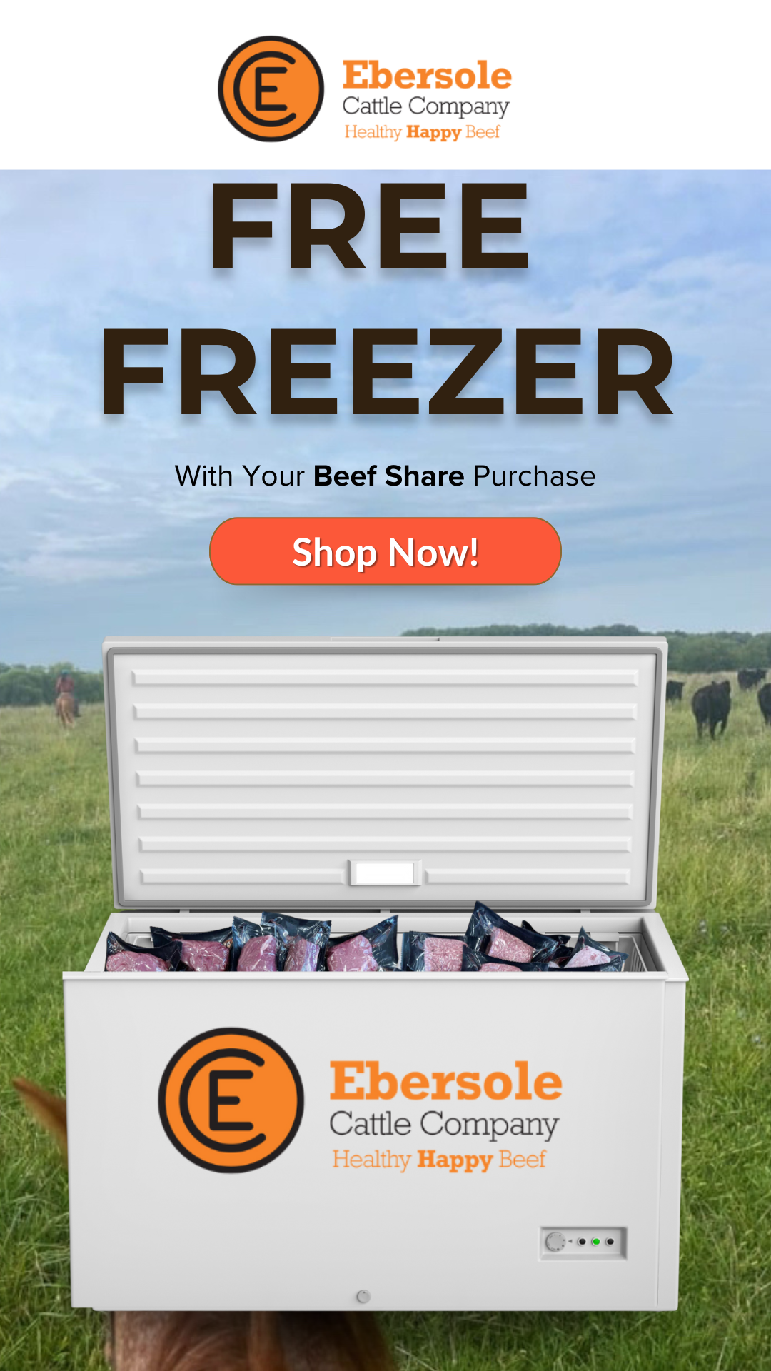Half Cow Free Freezer