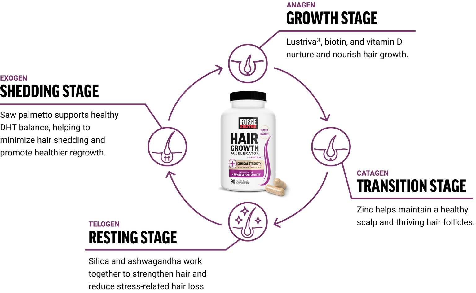 Hair Growth Accelerator