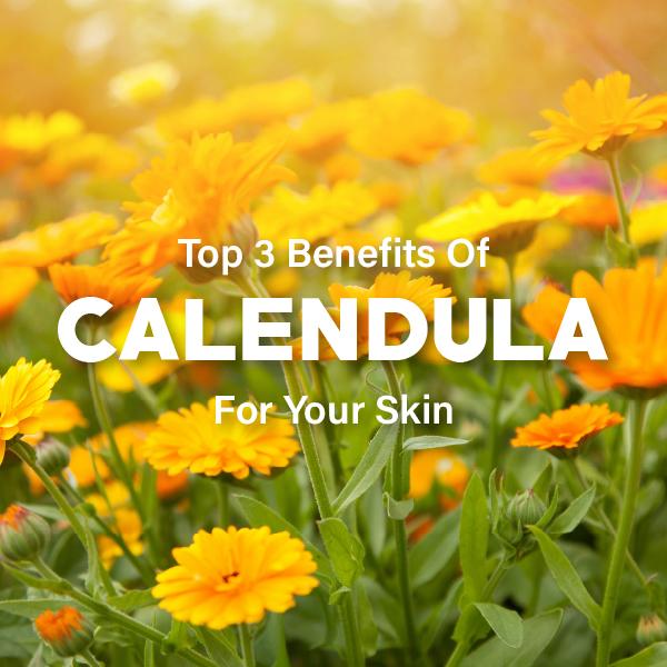 Top 3 Benefits of Calendula for Skin