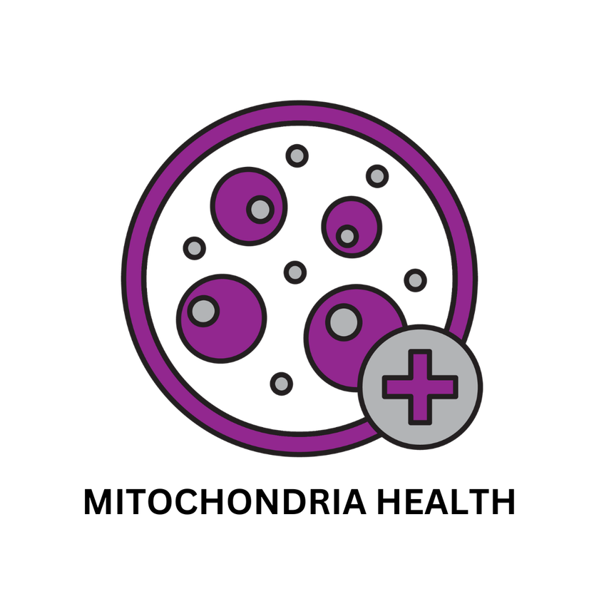 Navitol Ultra Strength – Martin Clinic