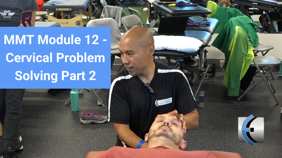 Modern Manual Therapy: The Eclectic Approach to UQ and LQ Assessment a