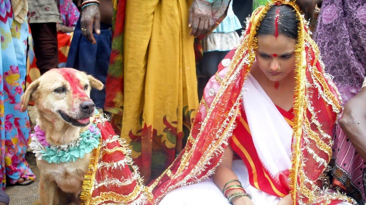 Best Indian Dog Names: Unique & Cute Male & Female Puppy Names - Potty ...