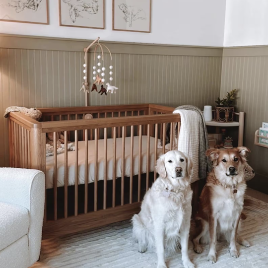 Custom Dog Baby Mobile