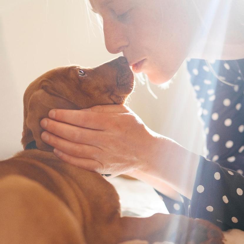 Dog Breeding for Beginners - Potty Buddy™