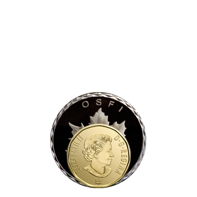 Canadian Armed Forces Challenge Coins: What You Need To Know - Strike ...
