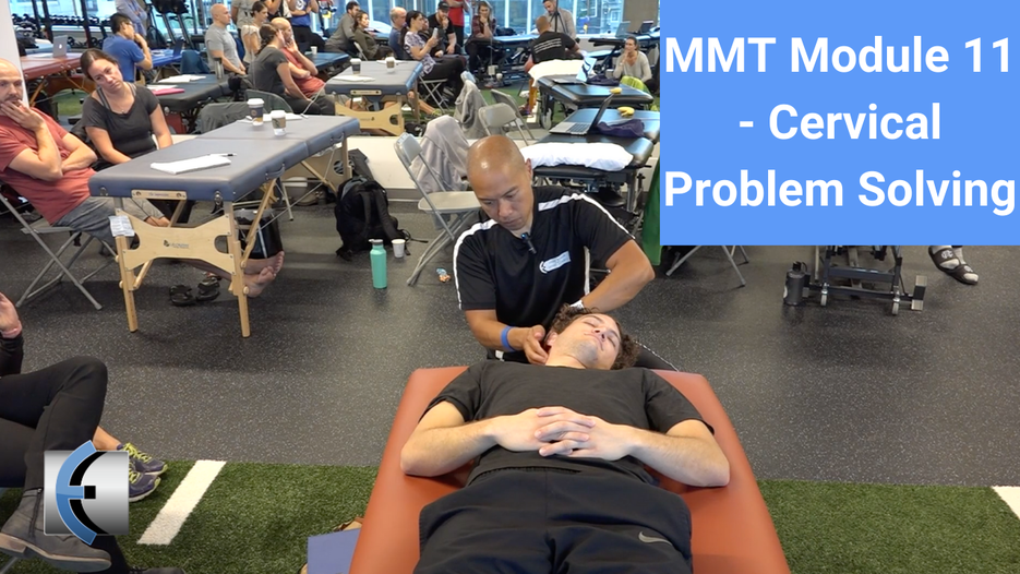 Modern Manual Therapy: The Eclectic Approach to UQ and LQ Assessment a