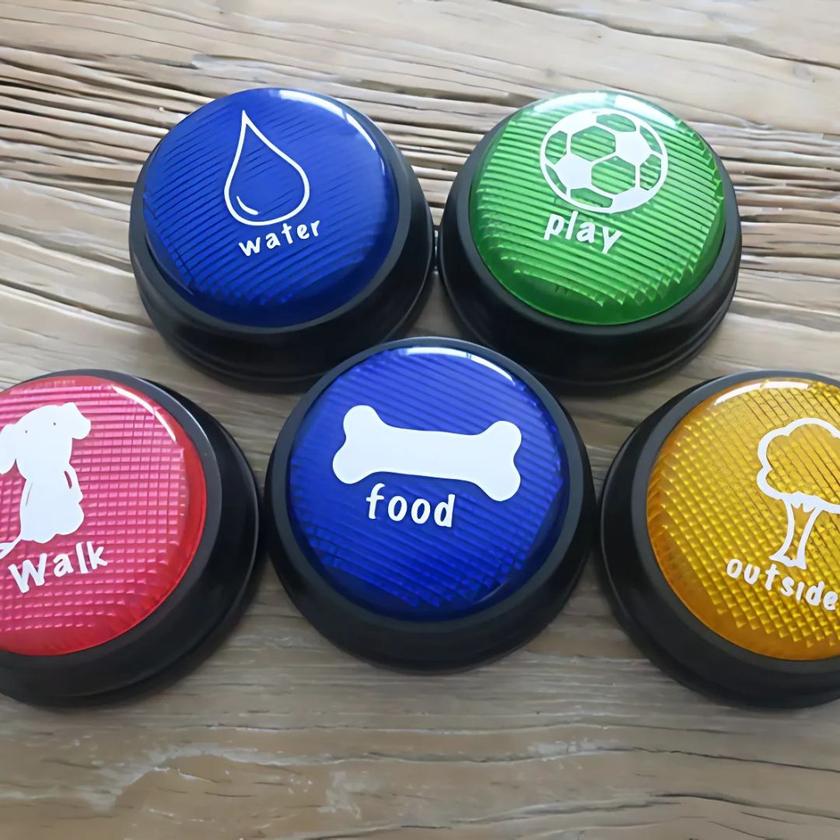 How to Teach Your Dog to Use Talking Buttons to Speak and Communicate ...