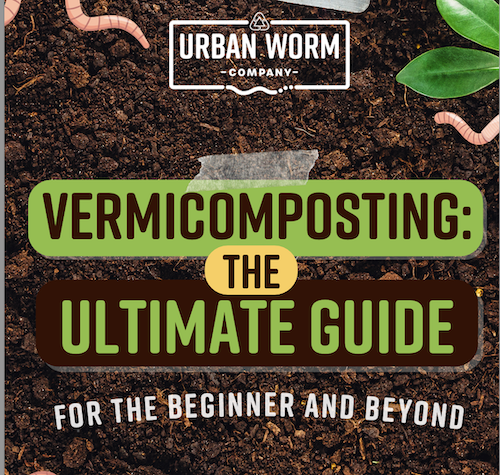 Ultimate Guide Opt in