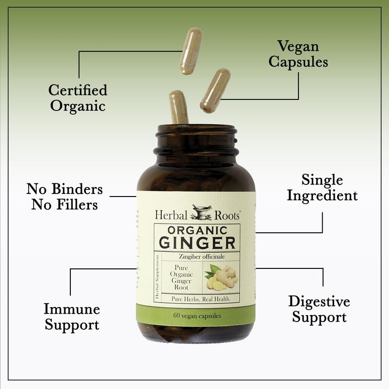 Organic Ginger Capsules 1200 mg - 60 VegCaps – Herbal Roots
