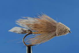 10 Fly Patterns For Trout – Togens Fly Shop