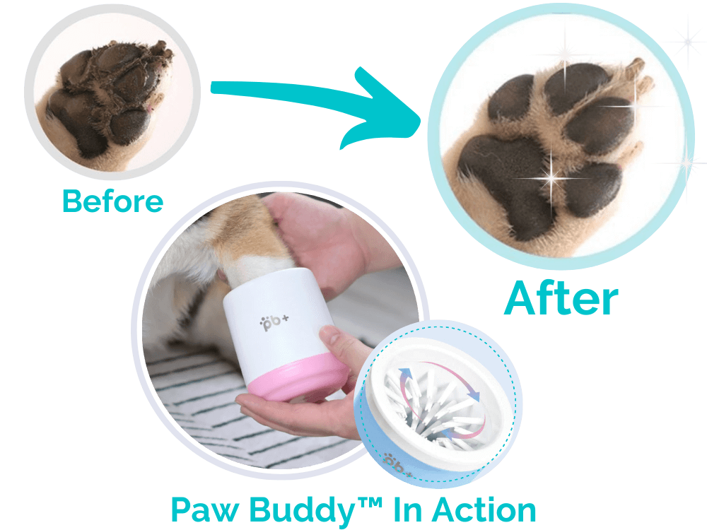 Paw Buddy™ - Easy Paw Cleaner - Potty Buddy™