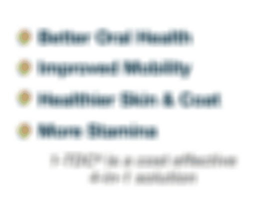 1-TDC Official Joint Supplement of IDS