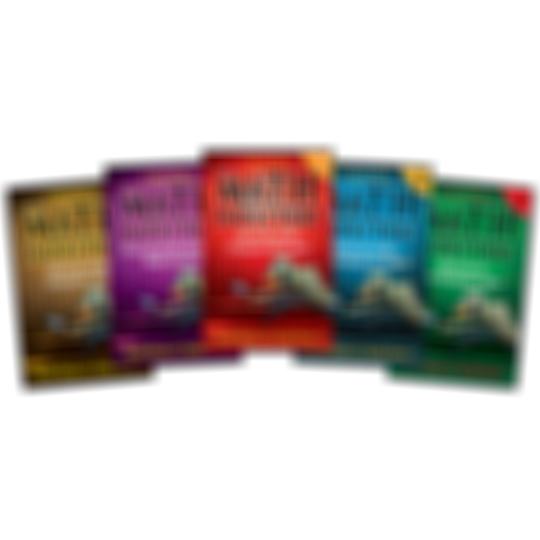 The Math Inspectors: Series Highlight