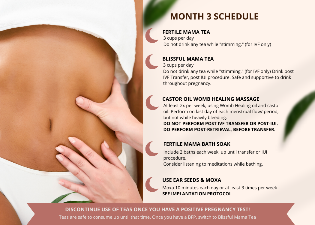 IVF/IUI BUNDLE SUPPORT GUIDE | Wisdom of the Womb