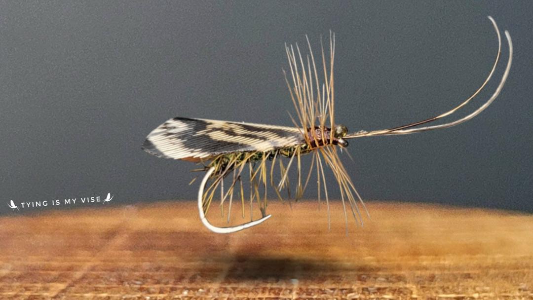 Togens Fly Tying Tutorials – Togens Fly Shop