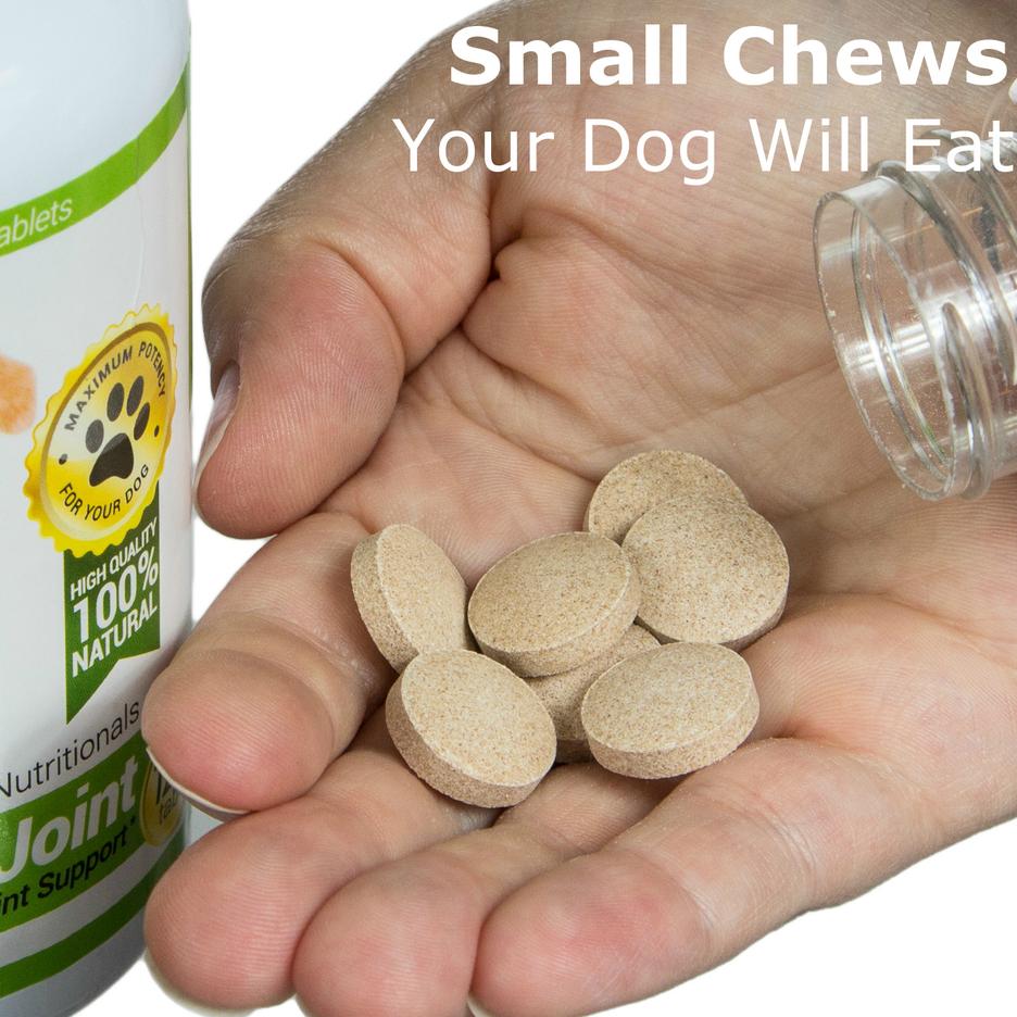 Probiotics for Dogs - Amazing Nutritionals