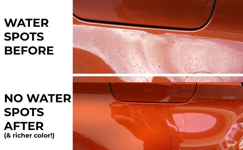 MAXL Method Complete System (NEWLY UPDATED!) - MAXL®