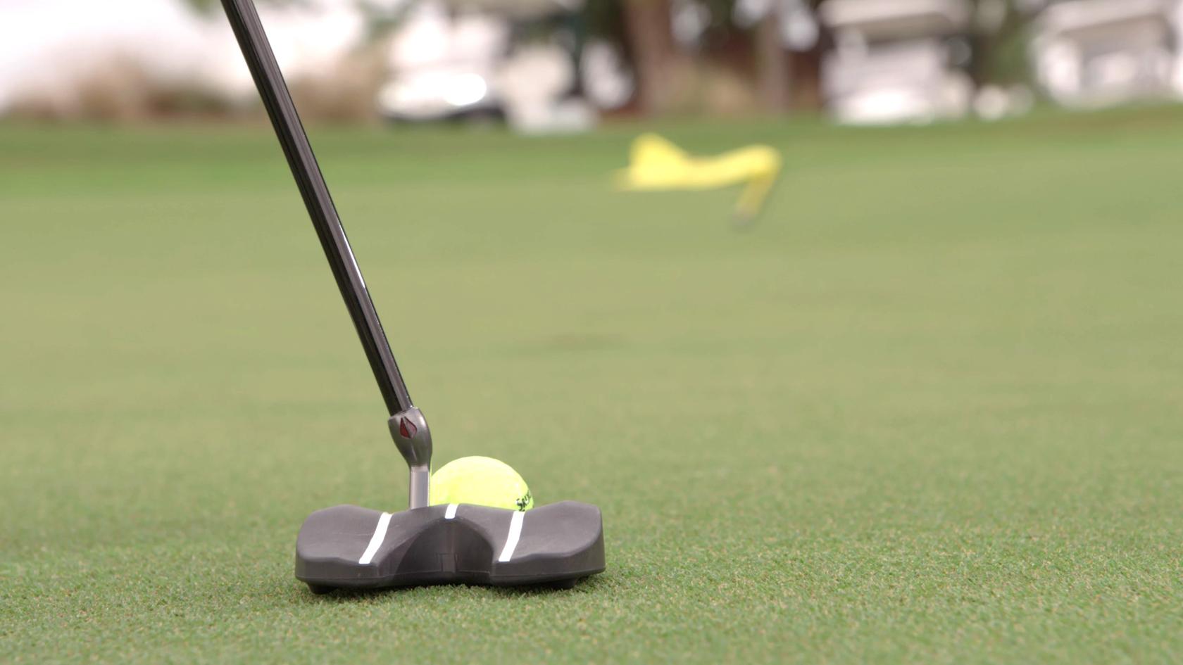 Vale Putter - New LP